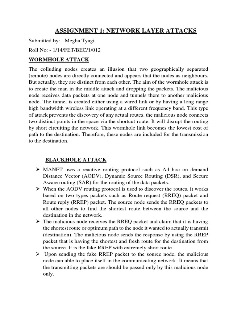 Assignment 1 - Network Layer Attacks | PDF | Routing | Denial Of Service Attack