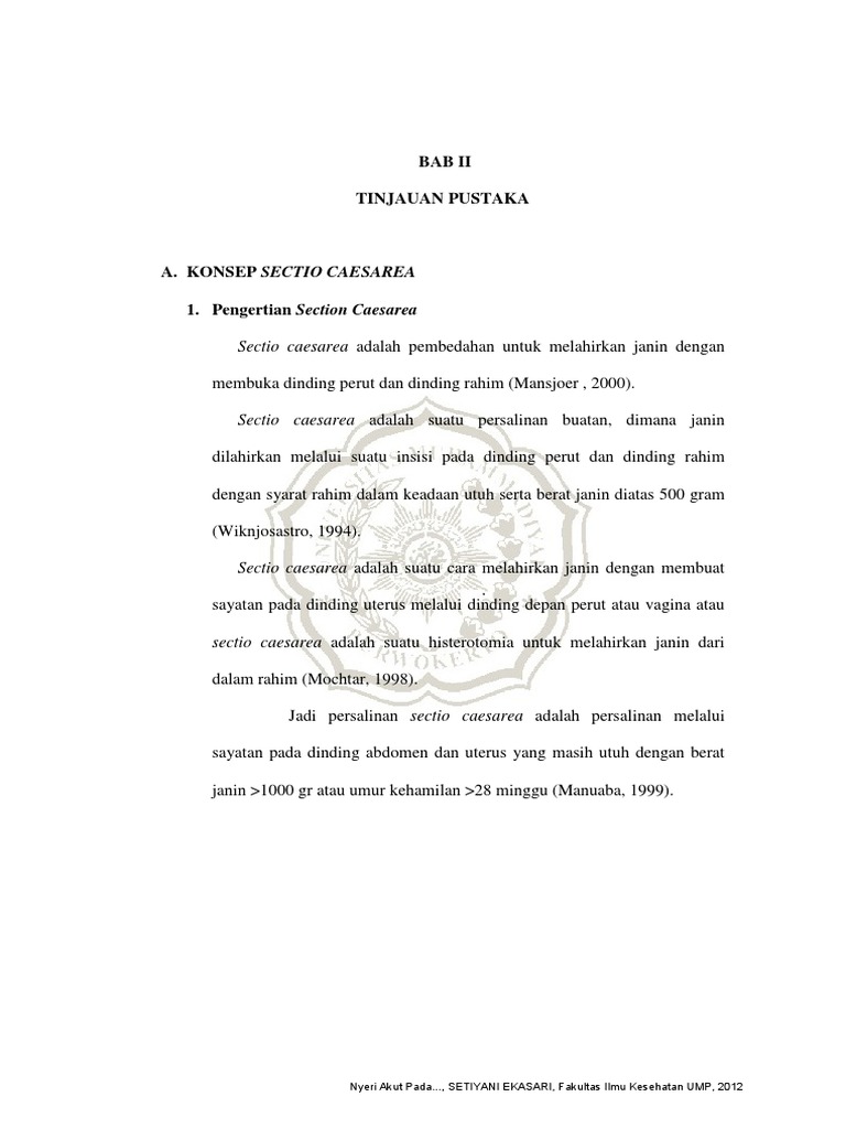 Setiyani Ekasari Bab II | PDF