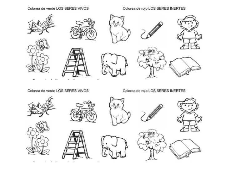 Seres Vivos, Seres Inertes | PDF | Science | Ciencia y Tecnología