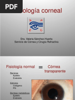 Anatomía Del Seno Camerular | PDF | Glaucoma | Visión