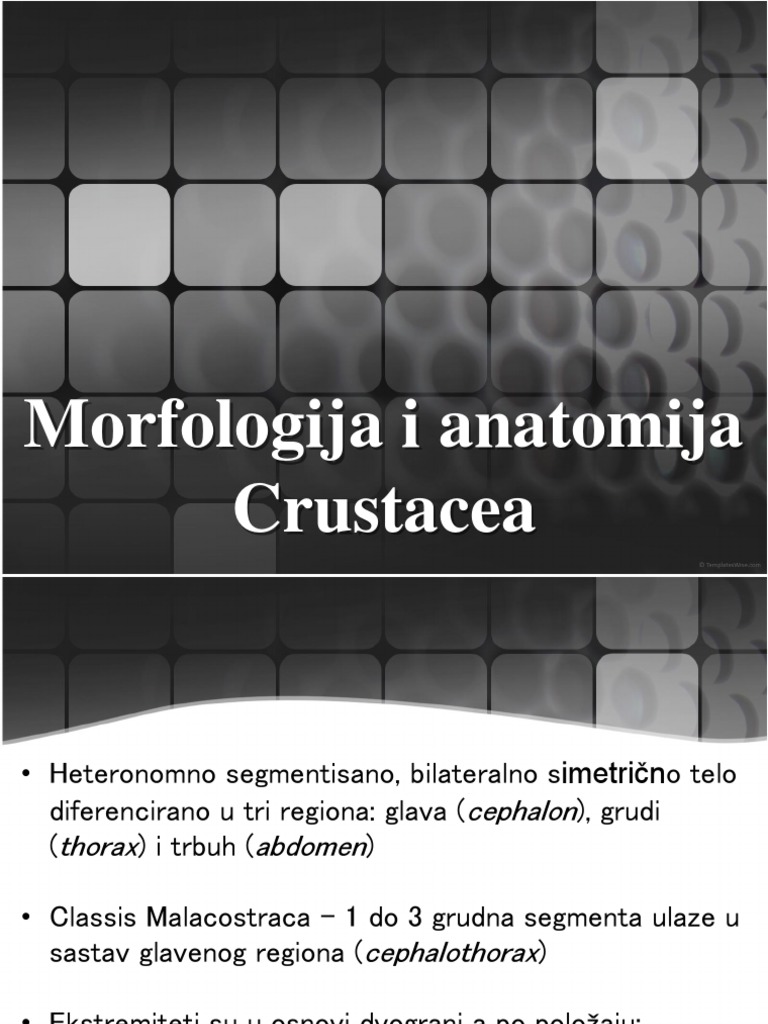 06 - Morfologija I Anatomija Crustacea | PDF