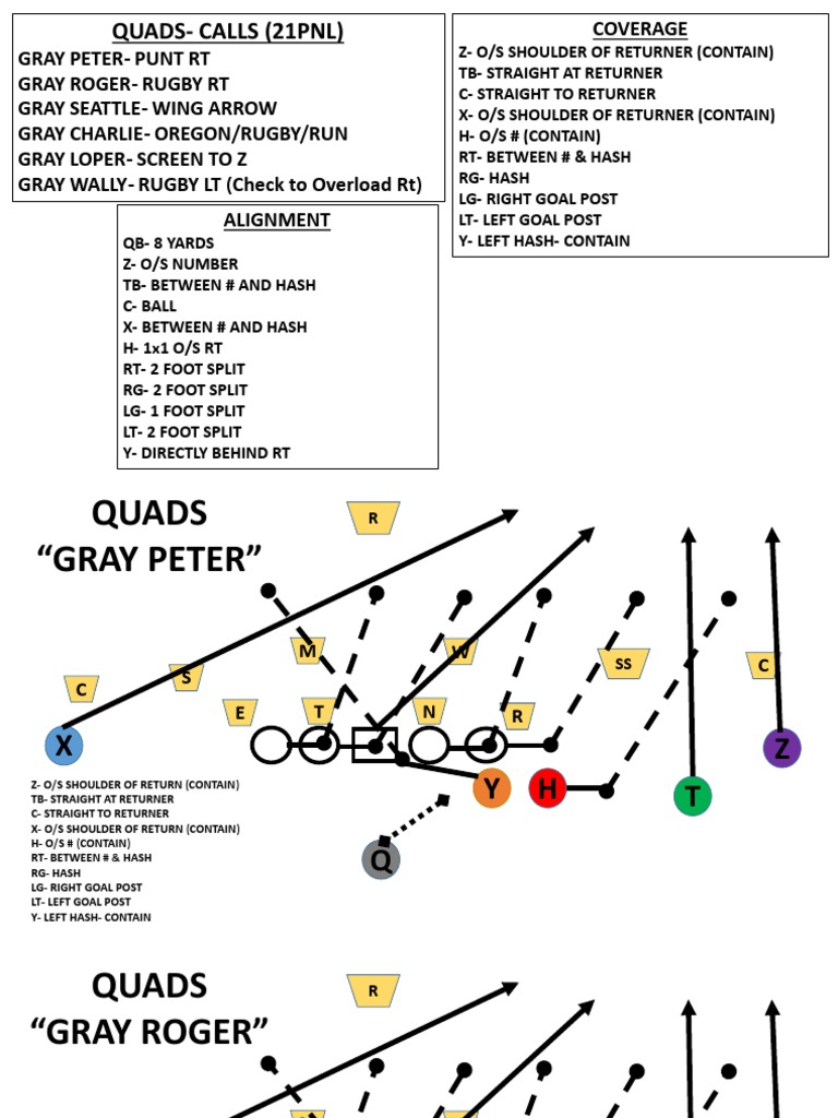 Quads Punt | PDF | National Football League Teams Seasons | American ...