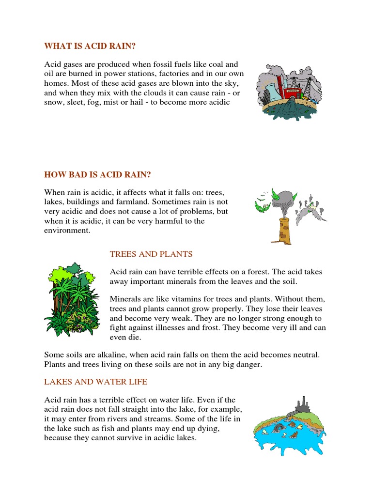 The Dangers of Acid Rain: How It Harms Trees, Plants, Lakes, and More | PDF