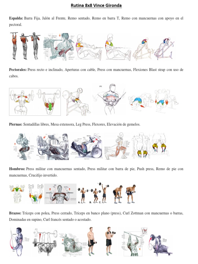 Rutina 8x8 Vince Gironda | PDF