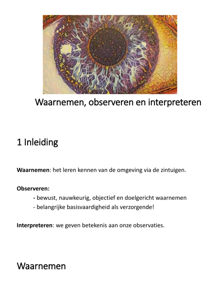 Ppt-Waarnemen Observeren en Interpreteren | PDF