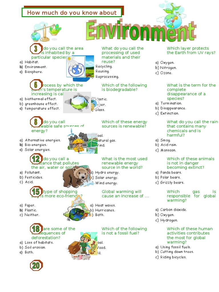 Environment Quiz | PDF | Carbon | Fossil Fuels