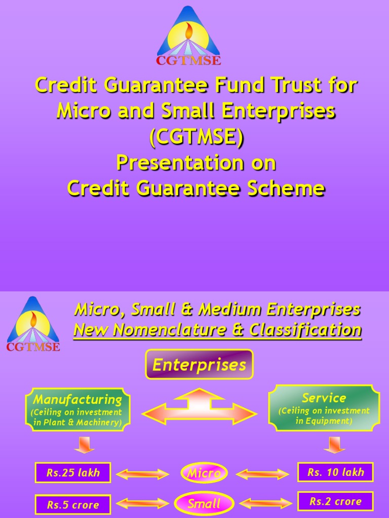 An Overview of the Credit Guarantee Scheme for Micro, Small and Medium ...