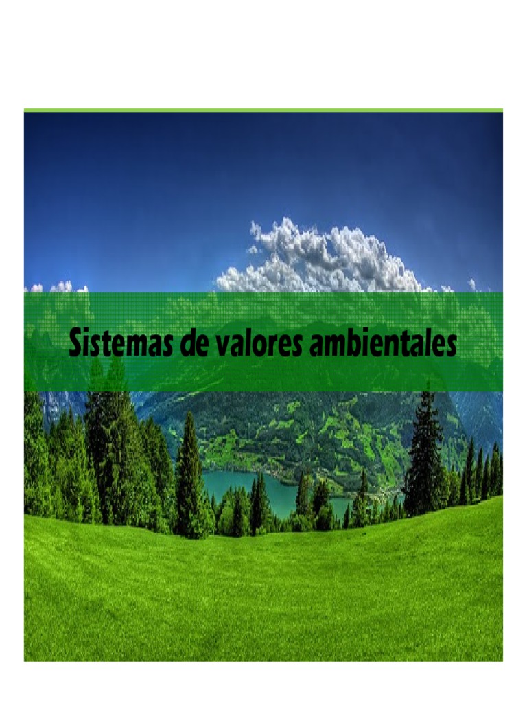 Clase 3. Sistema de Valores Ambientales | PDF | Crecimiento económico ...
