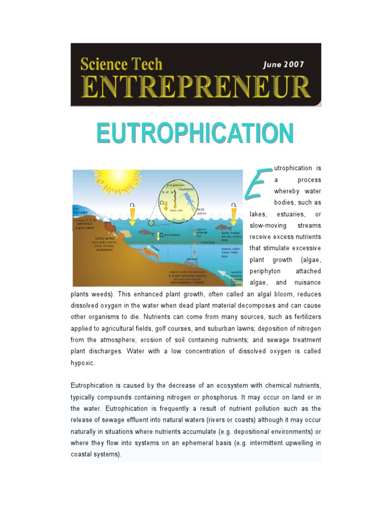 Understanding Eutrophication Effects | PDF | Eutrophication | Aquatic ...