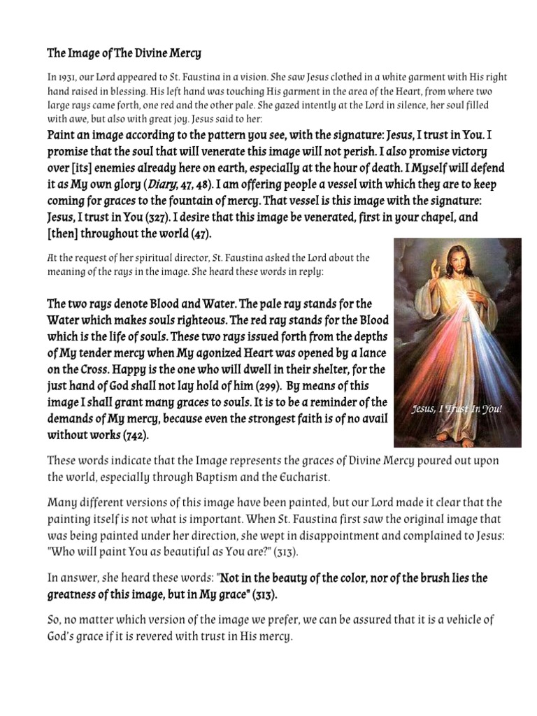 Diary | PDF | Roman Catholic Devotions | Catholic Church