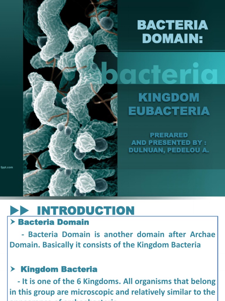 Bacteria Domain:: Kingdom Eubacteria | PDF | Bacteria | Biotechnology