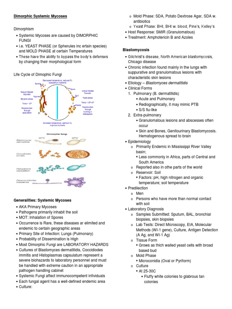Dimorphic Systemic Mycoses | PDF | Immunology | Diseases And Disorders