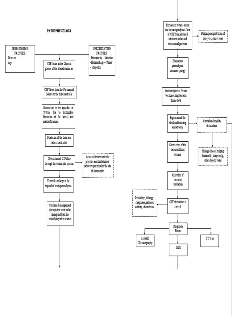Pathophysiology and Causes of Hydrocephalus | PDF | Cerebrospinal Fluid ...