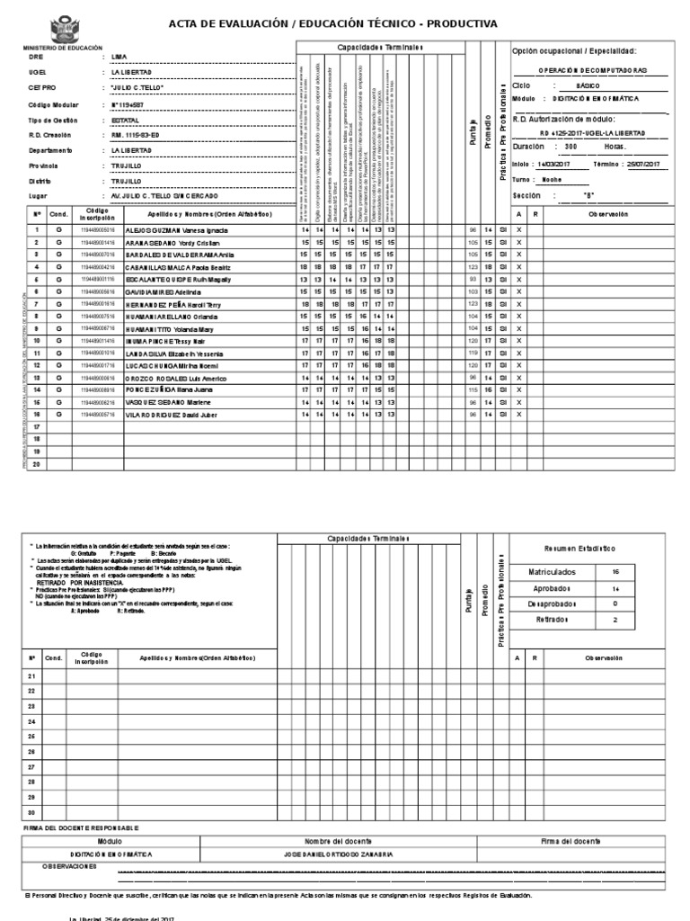 Actas Cetpro | PDF | Microsoft Excel | Informática