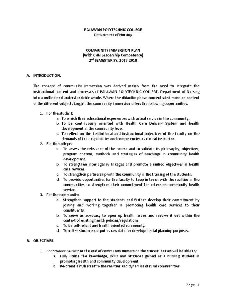 1 Community Immersion Leadership Plan | PDF | Nursing | Breastfeeding