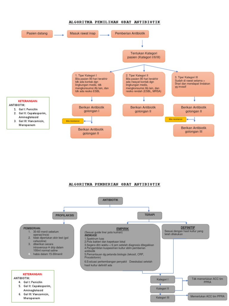 Algoritma Pemberian Antibiotik Terapi | PDF