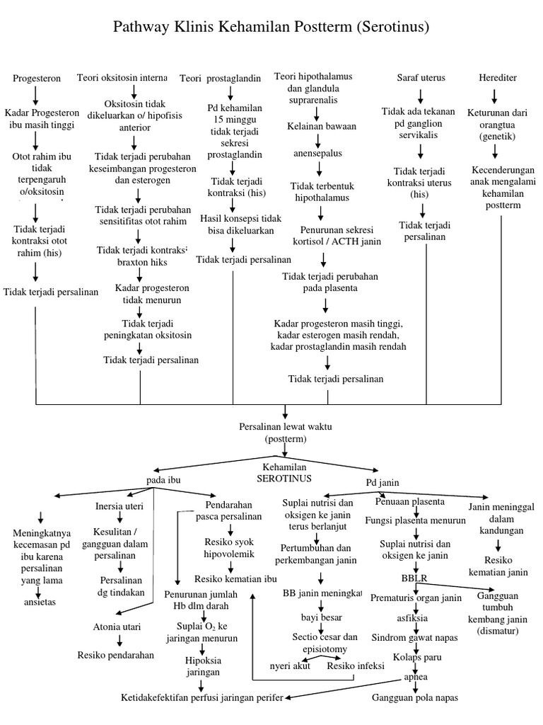 Pathway Klinis Kehamilan Postterm | PDF