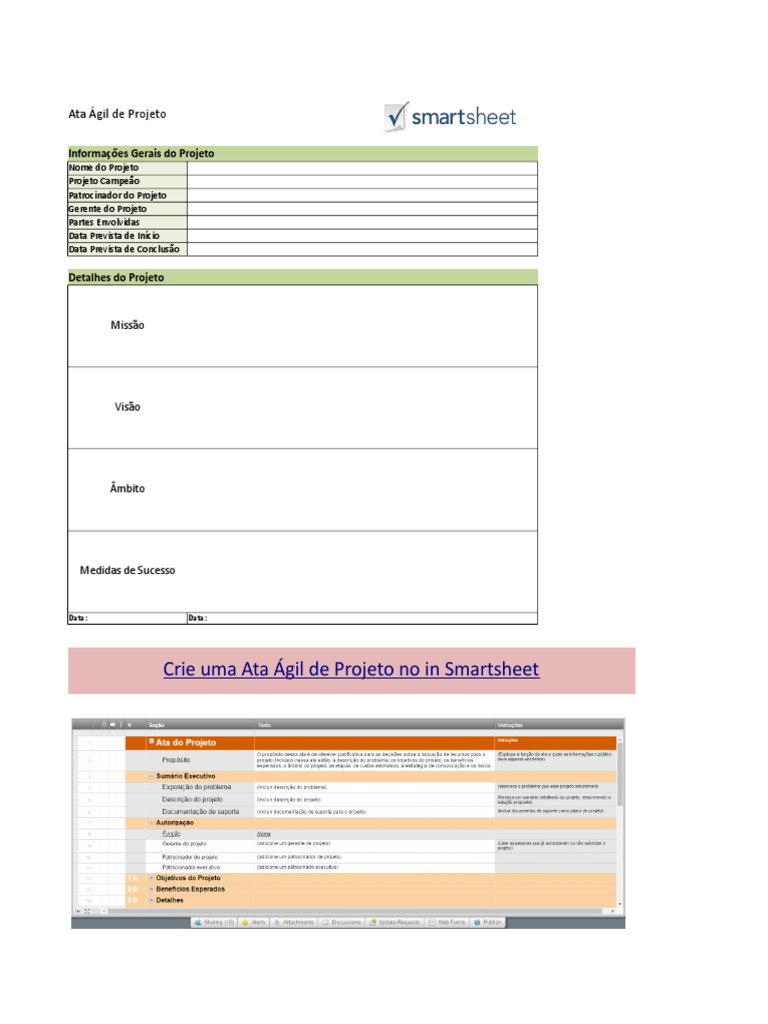 Agile Project Charter Template PT | PDF
