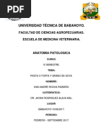 La Síntesis de La UREA | PDF | Urea | Sustancias químicas