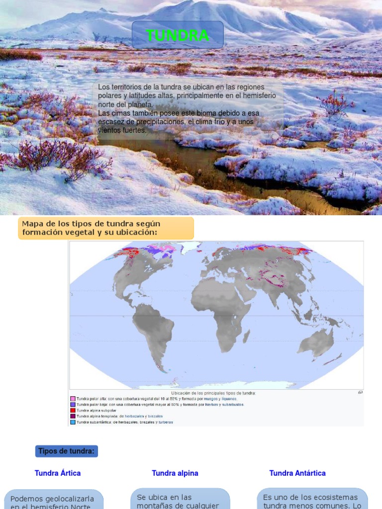 Mapa Del Bioma De La Tundra ártica Y Alpina