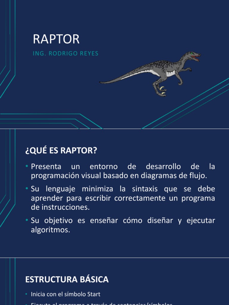 Manual Raptor | PDF | Programa de computadora | Programación