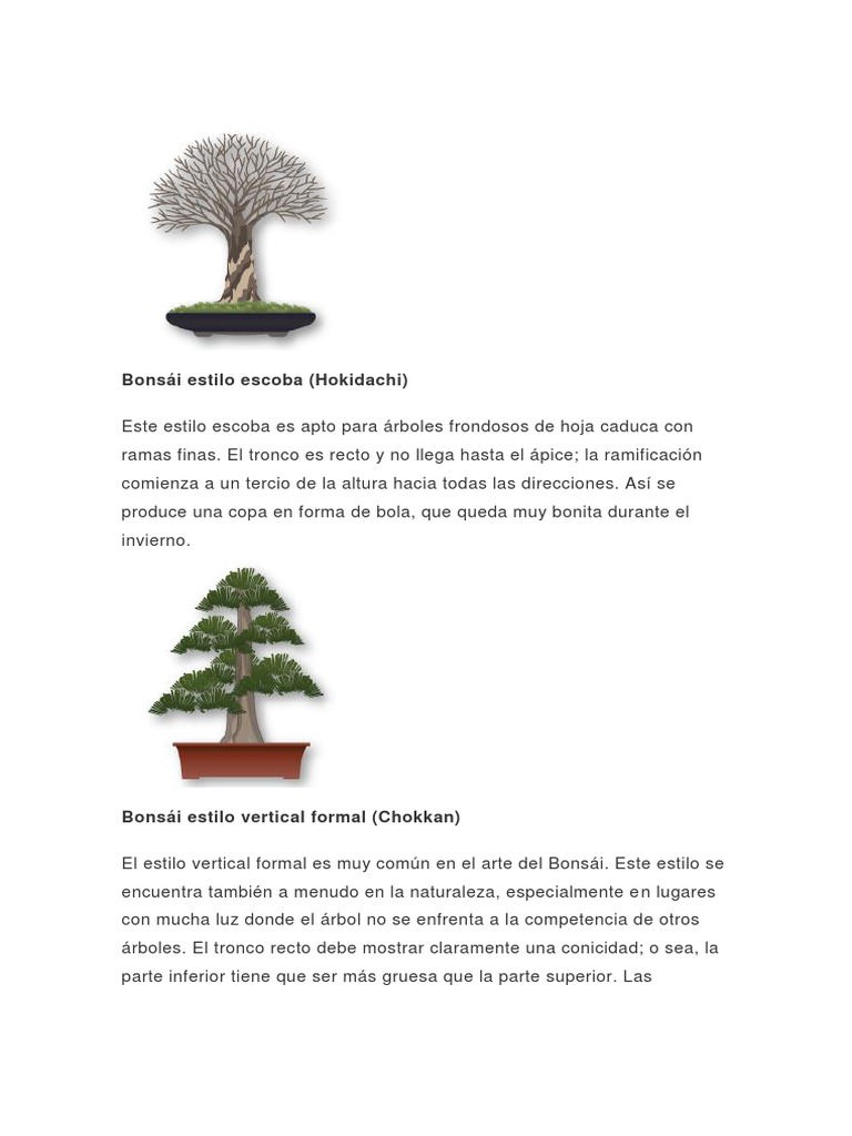 Estilos de Bonsais | PDF | Bonsai | Arboles