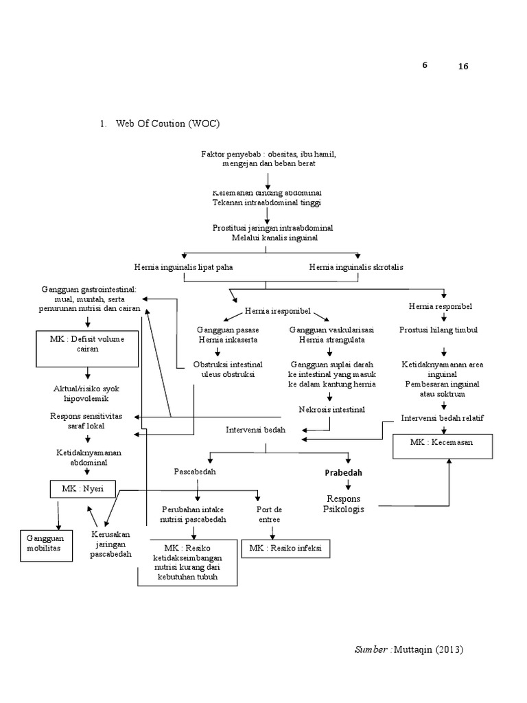 Web of Coution (WOC) : Sumber:Muttaqin (2013) | PDF