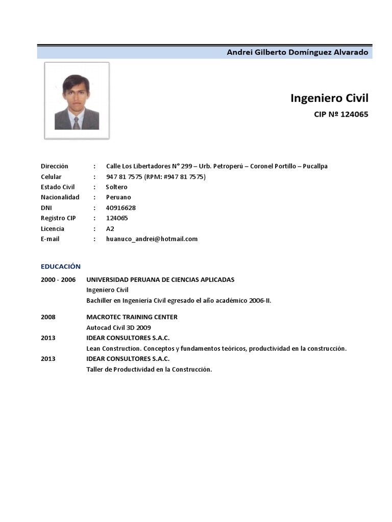 13 07 01 Curriculum Andrei | PDF | Ingeniería | Ciencia y Tecnología