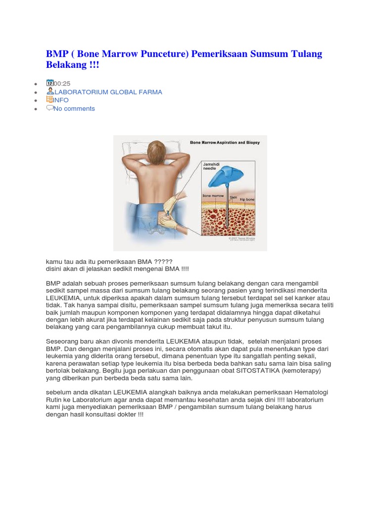 BMP (Bone Marrow Punceture) Pemeriksaan Sumsum Tulang Belakang ...