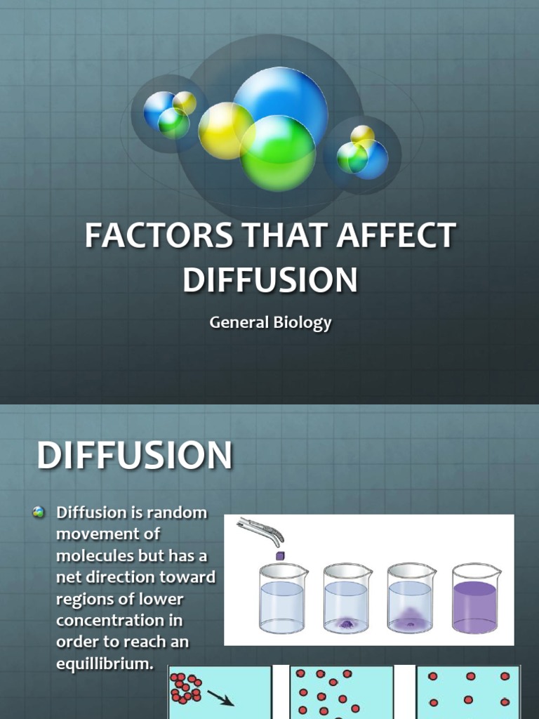 Factors That Affect Diffusion: General Biology | PDF