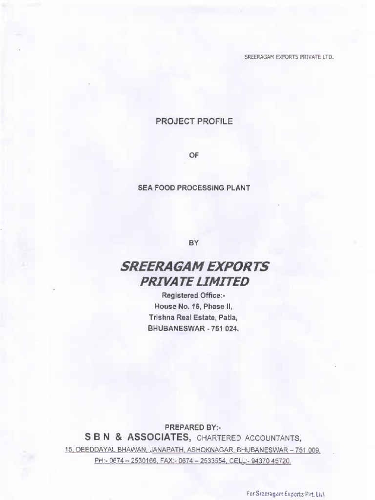 DPR Project Report | PDF