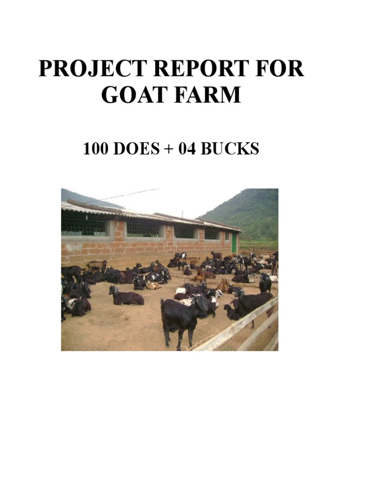 Project Report On Goat Farming | PDF | Internal Rate Of Return | Economics