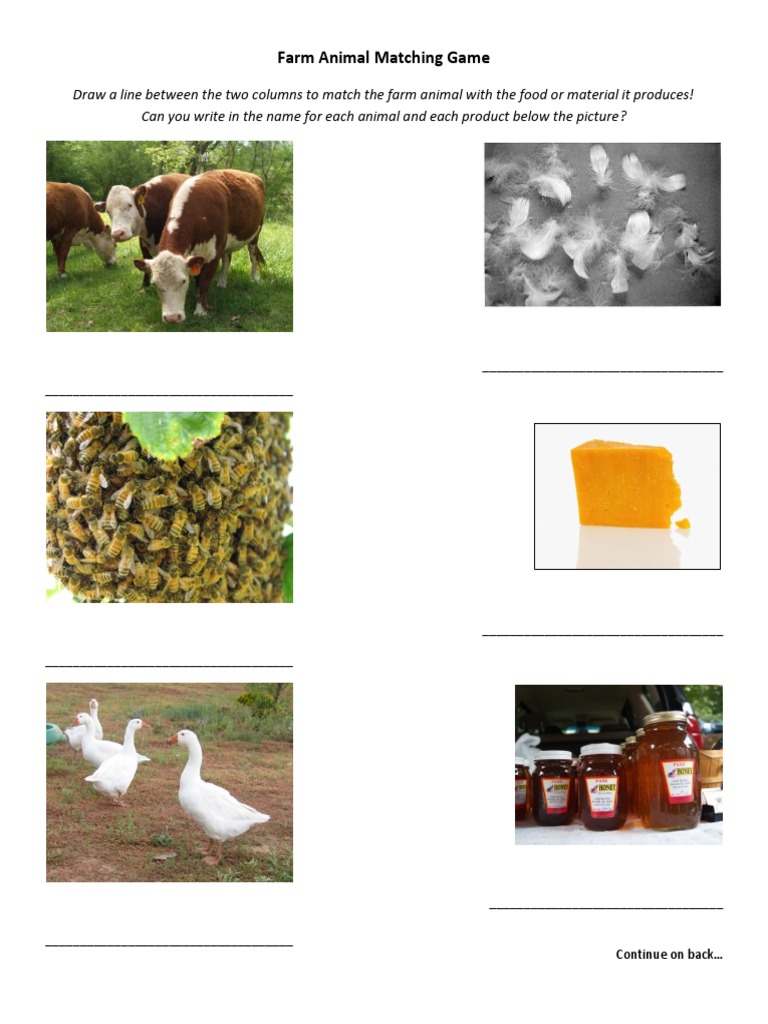 Farm Animal Game | PDF