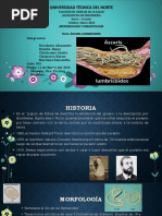 Alteraciones Morfológicas de Los Eritrocitos | PDF | Medicina CLINICA ...