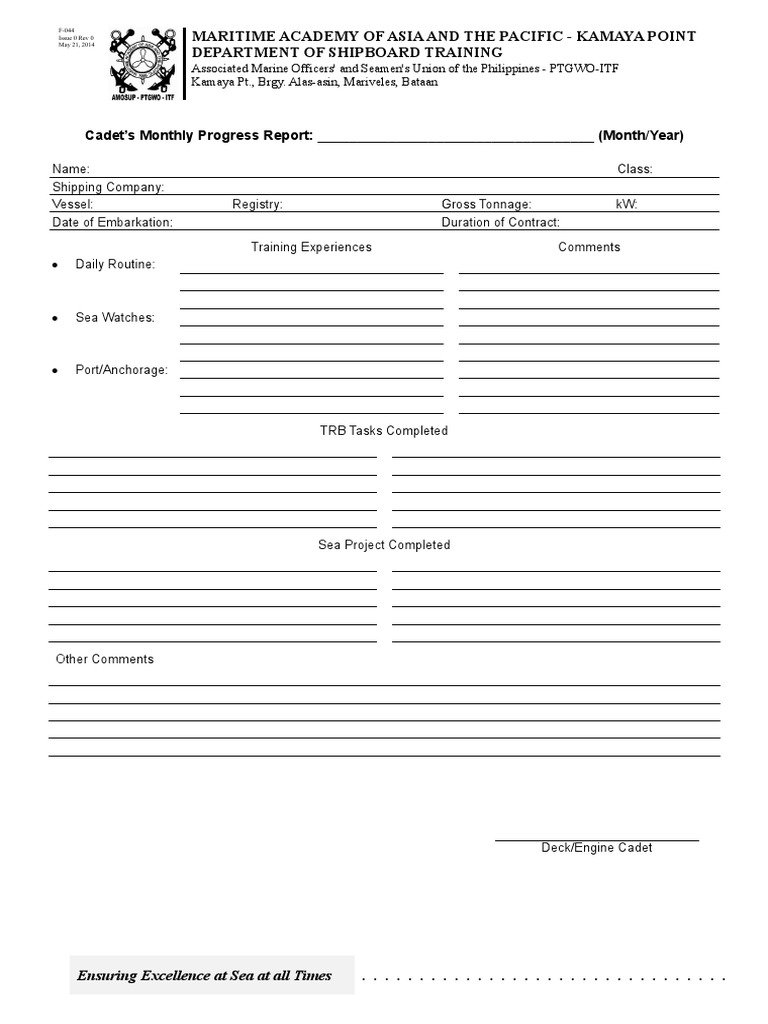 Monthly Progress Report | PDF