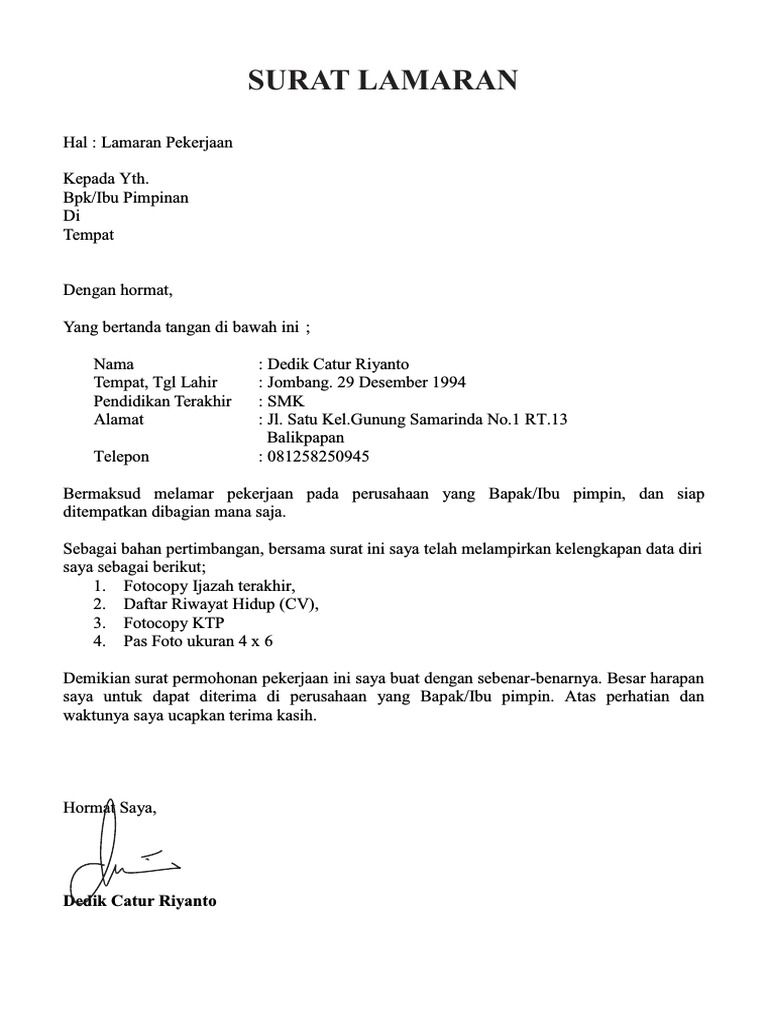 Lamaran - Biodata Diri - Portofolio | PDF