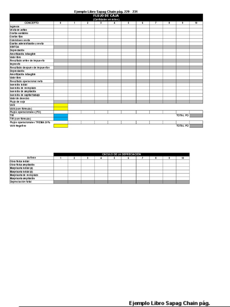 Ejemplo Flujo de Caja Pág. 231 Sapag Chain | PDF | Ganancias antes de ...