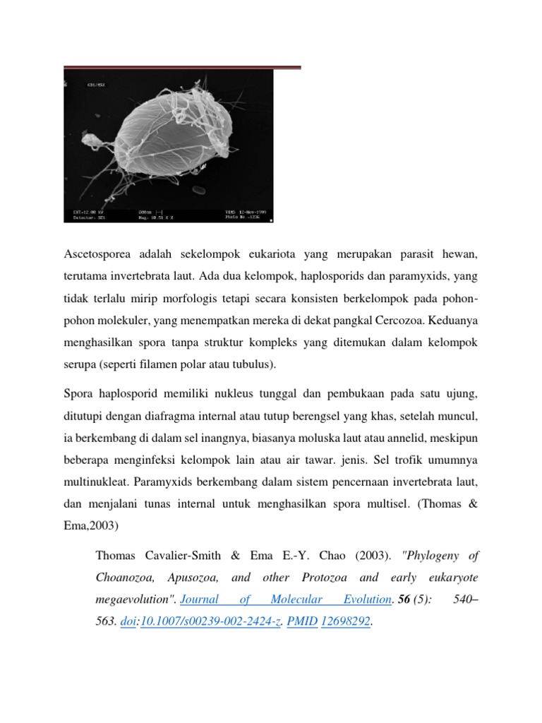 Struktur dan Ciri Ascetosporea | PDF