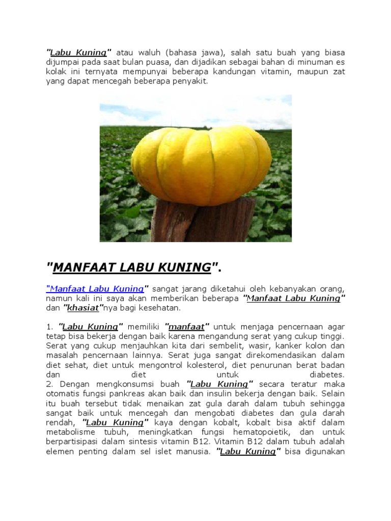 Labu Kuning | PDF
