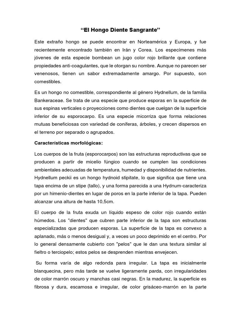 El Fascinante Hongo Diente Sangrante: Características, Hábitat y ...