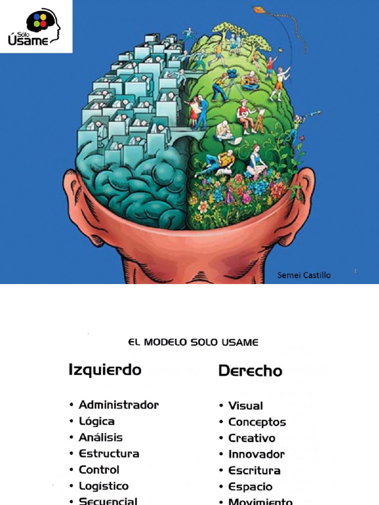 Modelo Sólo Úsame | PDF
