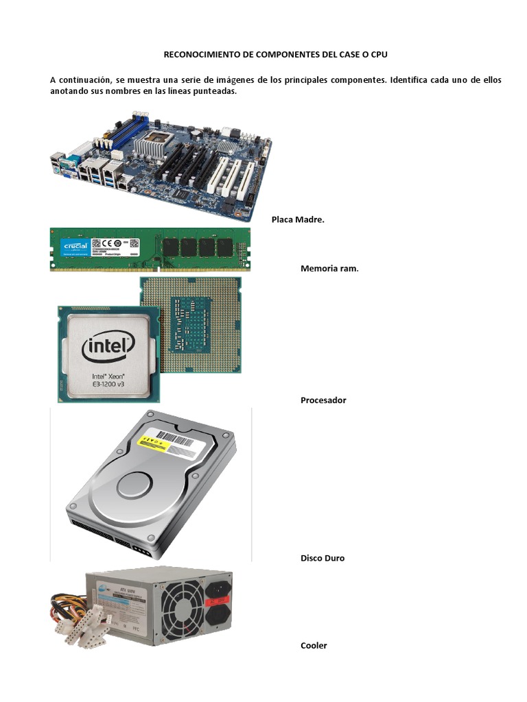Reconocimiento de Componentes Del Case o Cpu | PDF