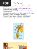 Upper Extremity MMT: Elbow & Shoulder | PDF | Anatomical Terms Of ...
