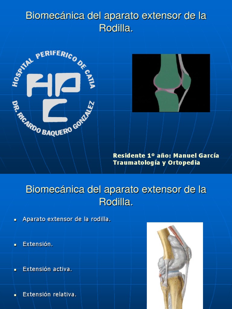 Biomecánica Del Aparato Extensor de La Rodilla | PDF | Articulaciones ...