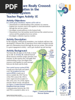 Grade 10 3rd Quarter DLL | PDF | Menstrual Cycle | Endocrine System