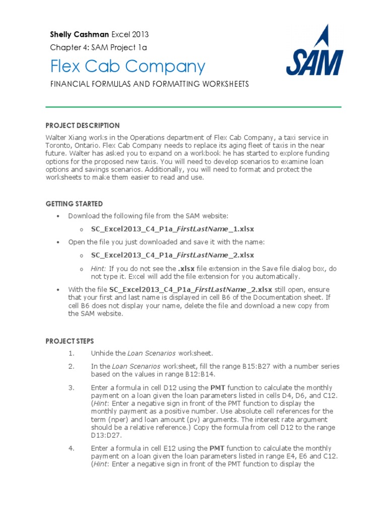 Flex Cab Company: M Project Name | PDF | Microsoft Excel | Software