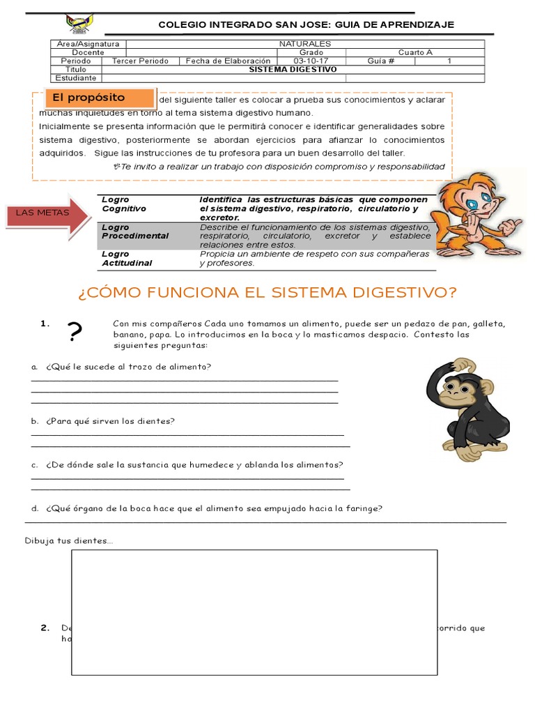 Guia Sistema Digestivo 1 | PDF | Sistema digestivo humano | Fisiologia ...