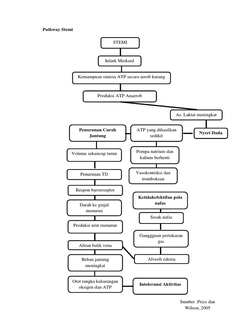 Pathway Stemi.docx