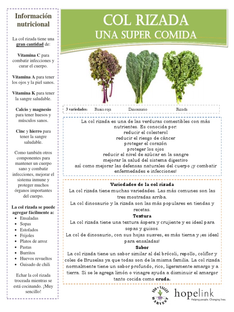 Kale Spanish Final | PDF | Alimentos | Cocinando