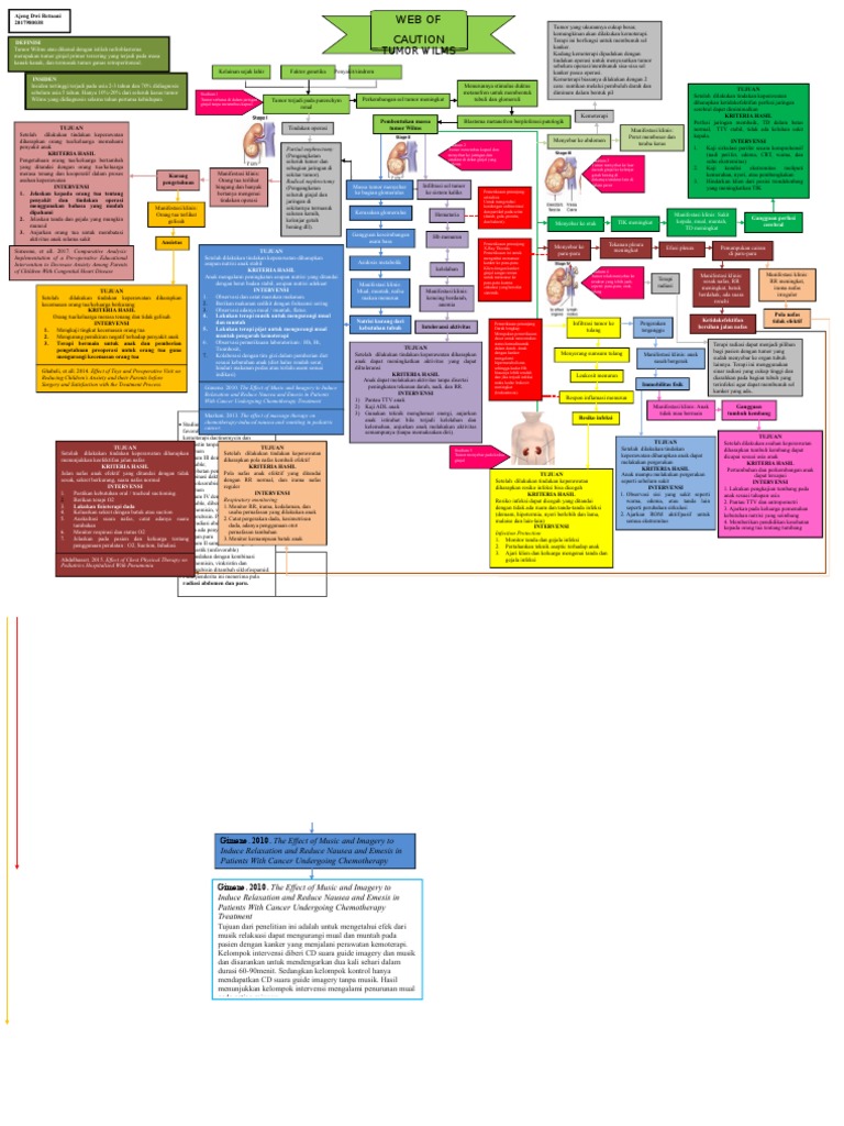 Woc Tumor Wilms | PDF